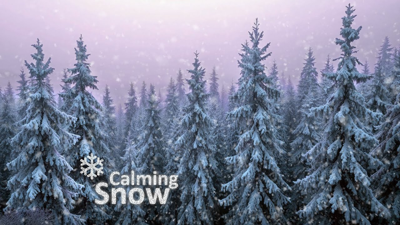 Relaxation Ambience with Calming Snow. Heavy Snowfall background - YouTube