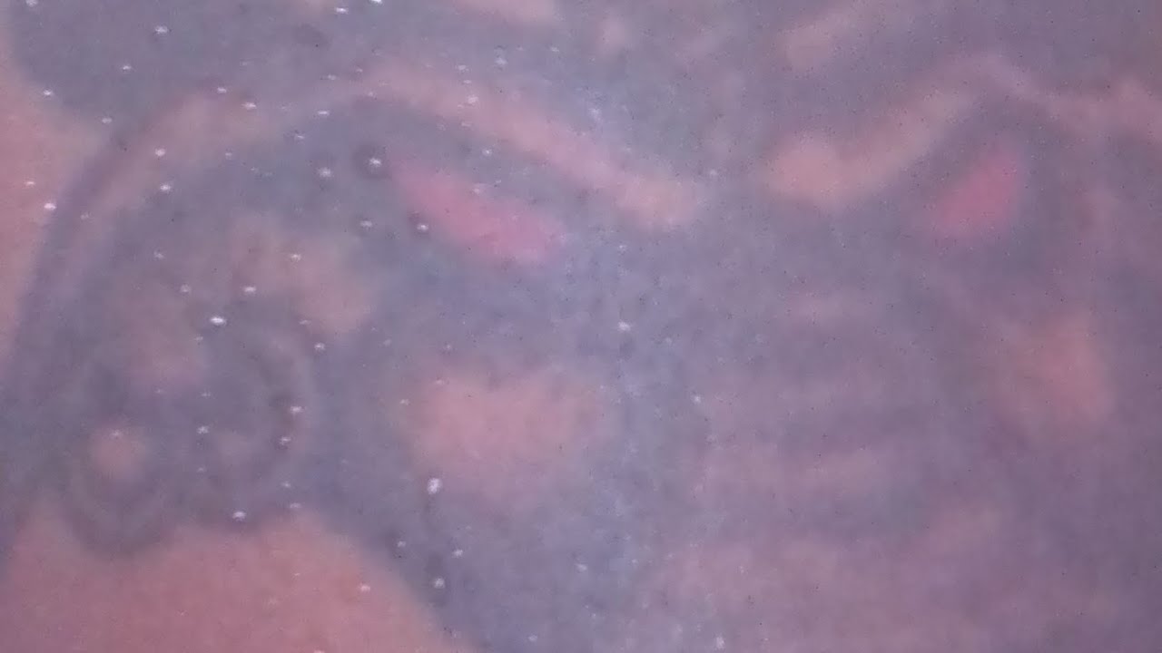 I BROKE THE FIRST COMMANDMENT💯😤 - YouTube