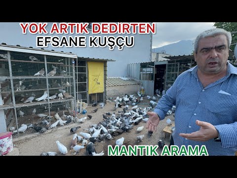 BU ADAM ÇILDIRMIŞ OLMALI  700 GÜVERCİNİ EKMEKLE BESLİYOR