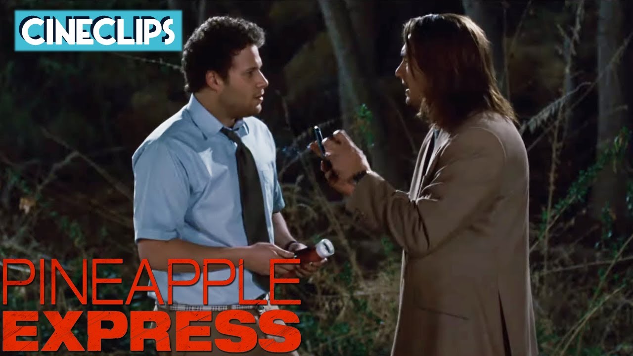 Pineapple Express Saul Quotes
