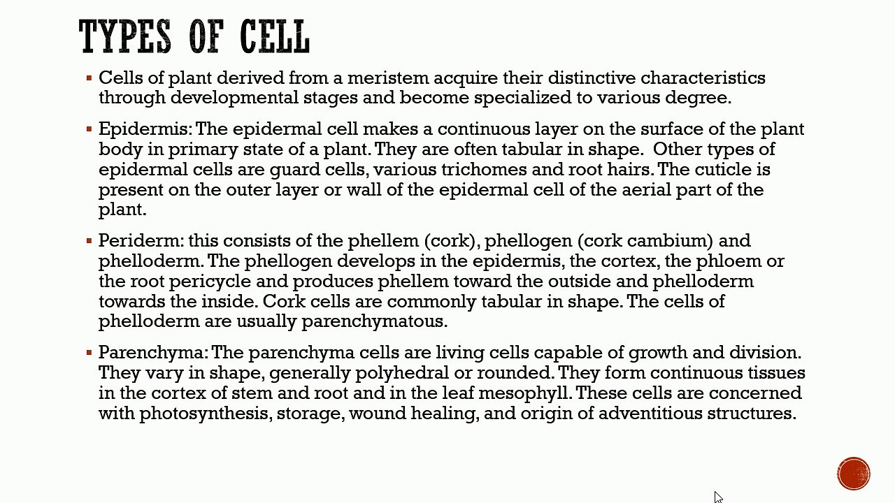 Crop Anatomy Lecture 7 - YouTube