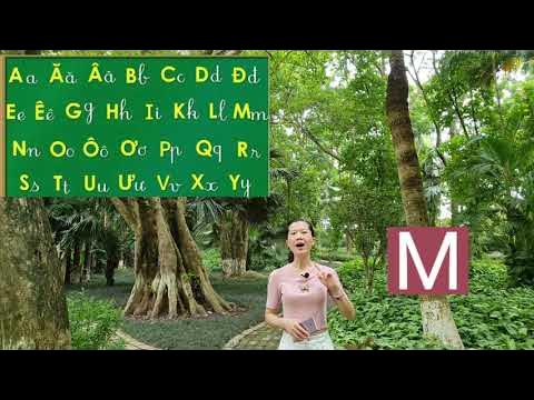 Easy Vietnamese for Beginners: THE VIETNAMESE ALPHABET #29 letters #12 vowels #Learn Vietnamese ...
