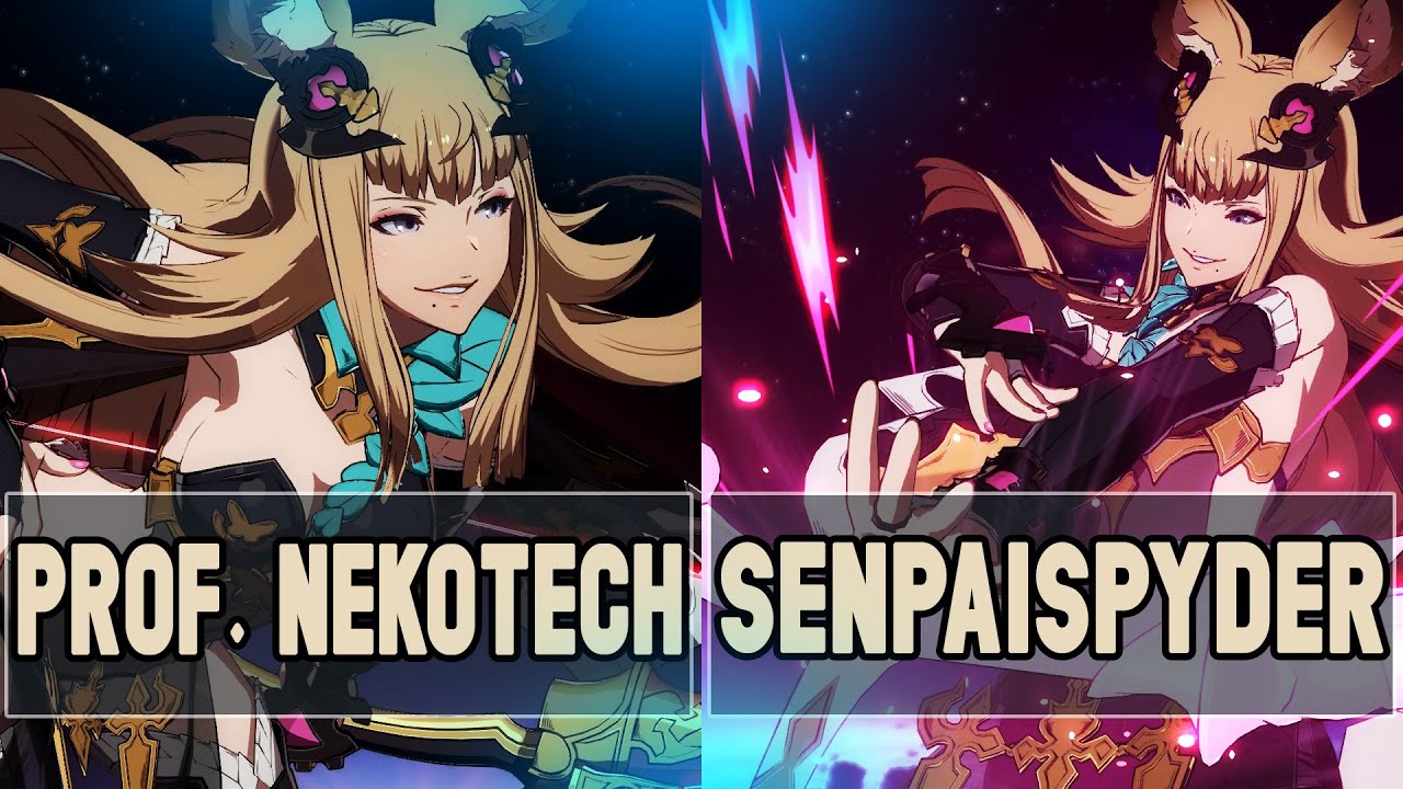 GBVS: Prof.Nekotech (Metera) Vs SenpaiSpyder (Metera) | High Level ...