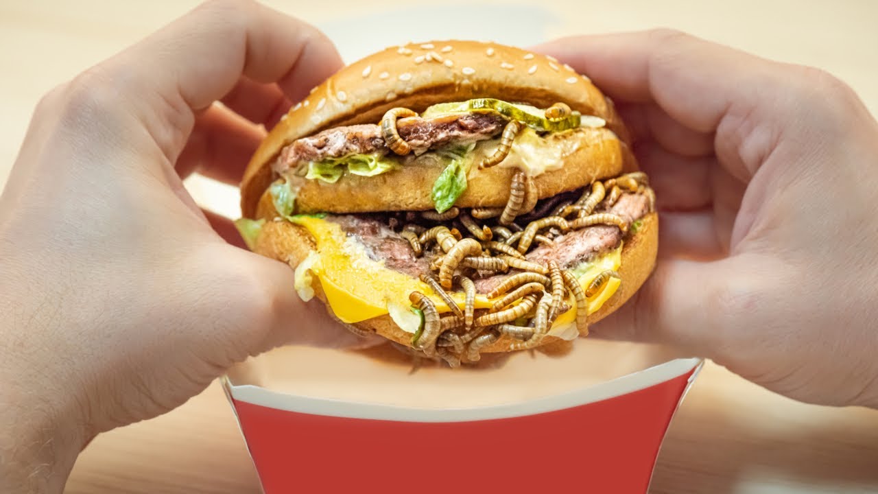 'Worm burgers' latest push to 'solve' world hunger - YouTube