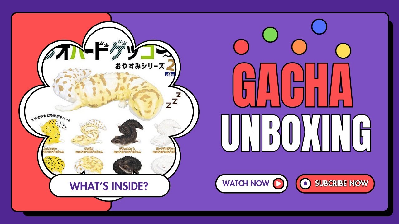 Gacha Unboxing 0018 [Leopard Gecko Good Night] Capsule Toy: Discover ...
