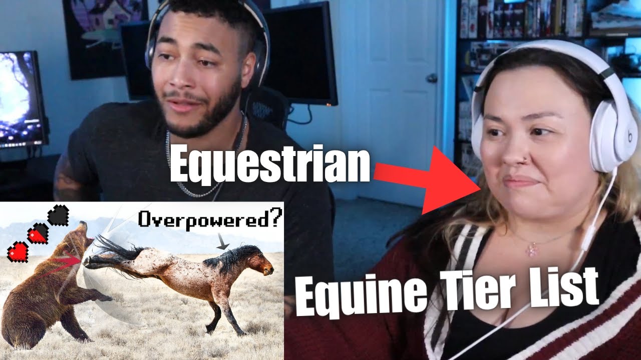 OtakuCouple Reacts to Are Horses OP by TierZoo - YouTube