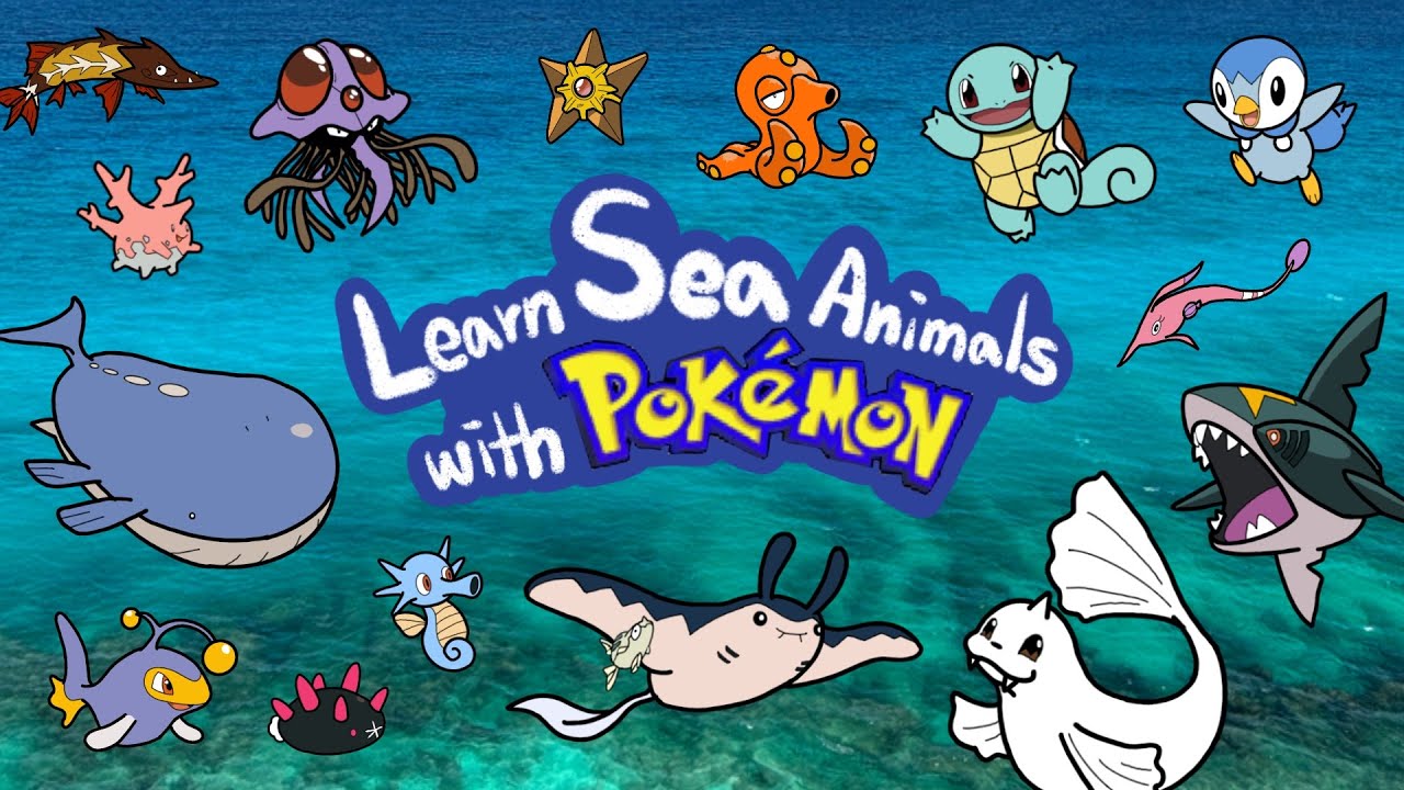 Pokemon Sea Animals | What Sea Animals are in Pokémon? | Guess & Meet ...