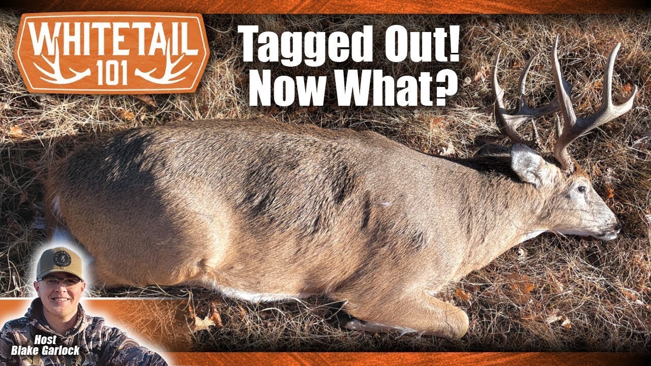Tips on Having Your Deer Meat Processed - YouTube