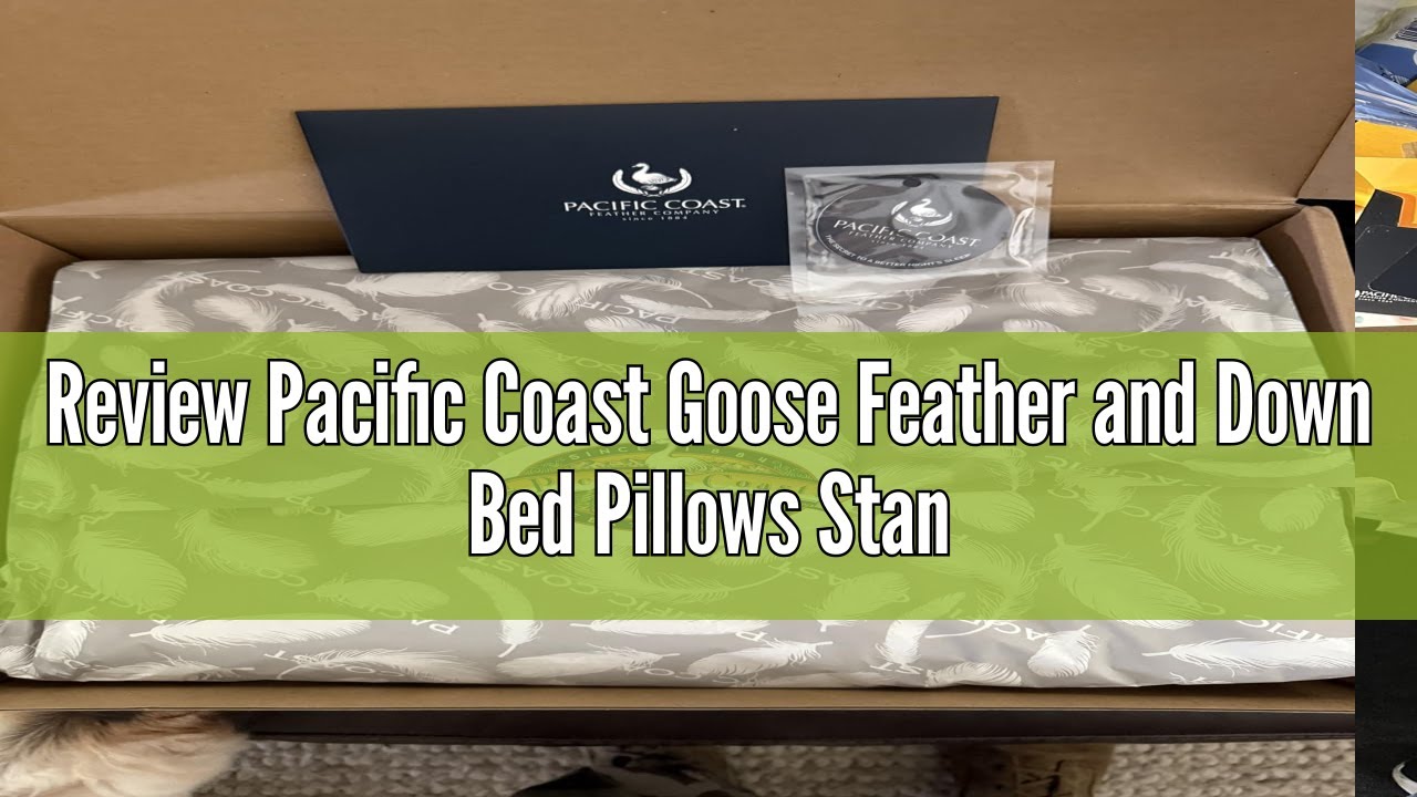 Review Pacific Coast Goose Feather and Down Bed Pillows Standard Size ...