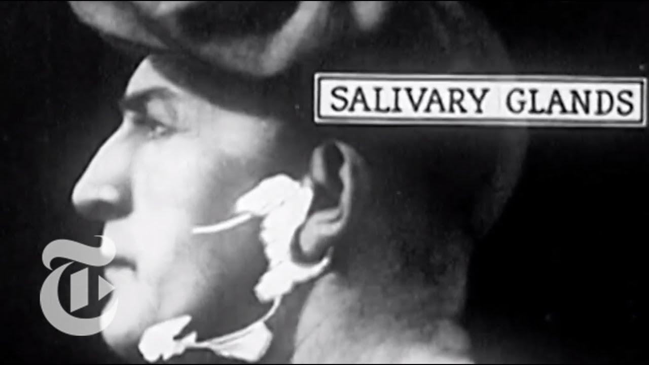 The Inside Scoop on Your Insides - A Mary Roach Interview - YouTube