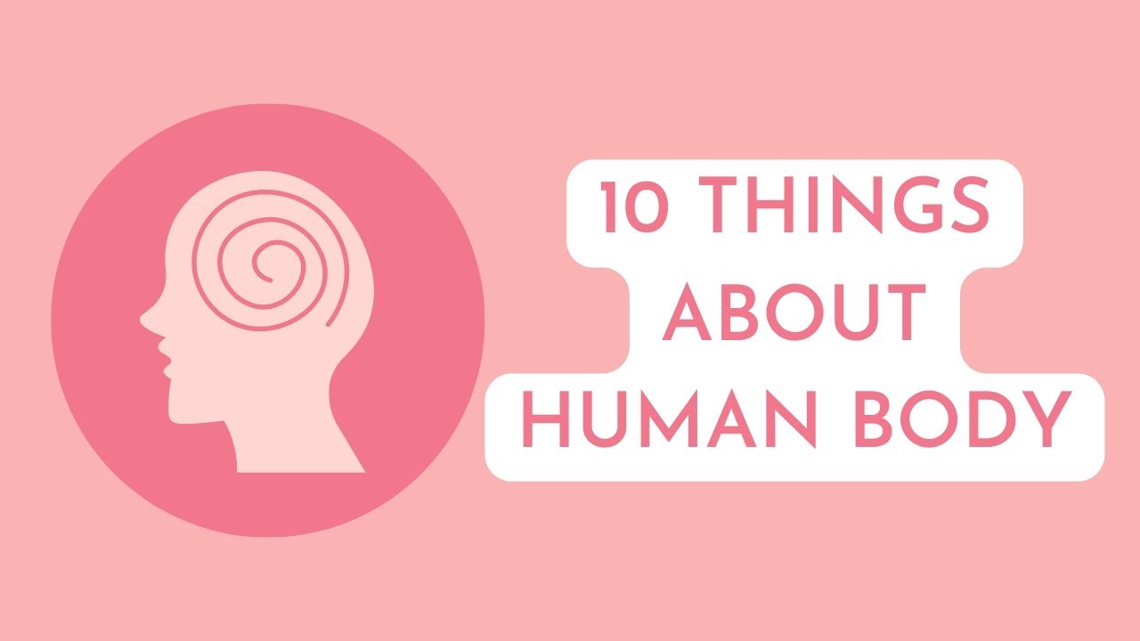 Unknown Interesting Scientific Facts About Human Body YouTube unknown-interesting-scientific-facts-about-human-body-youtube