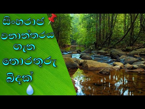 සිංහරාජ වනාන්තරය , Sinharaja vanantharaya , - YouTube