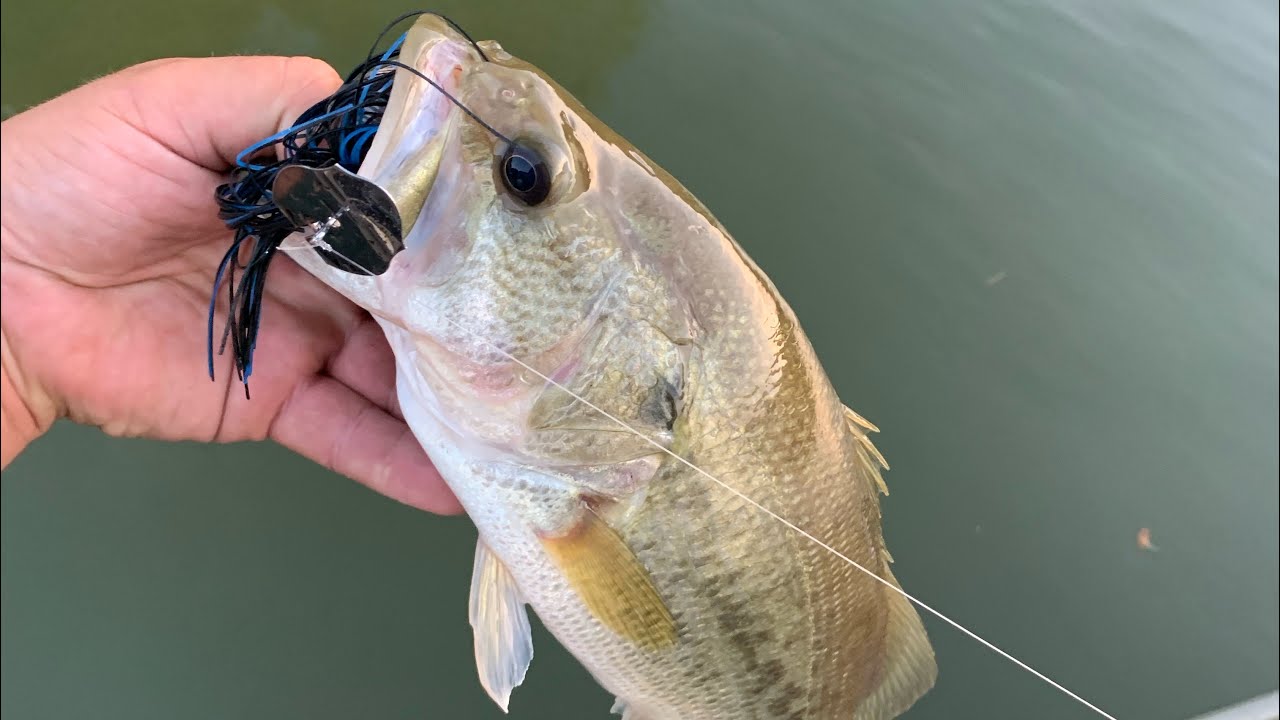 Bass Fishing Pennsylvania! 🤘 - YouTube