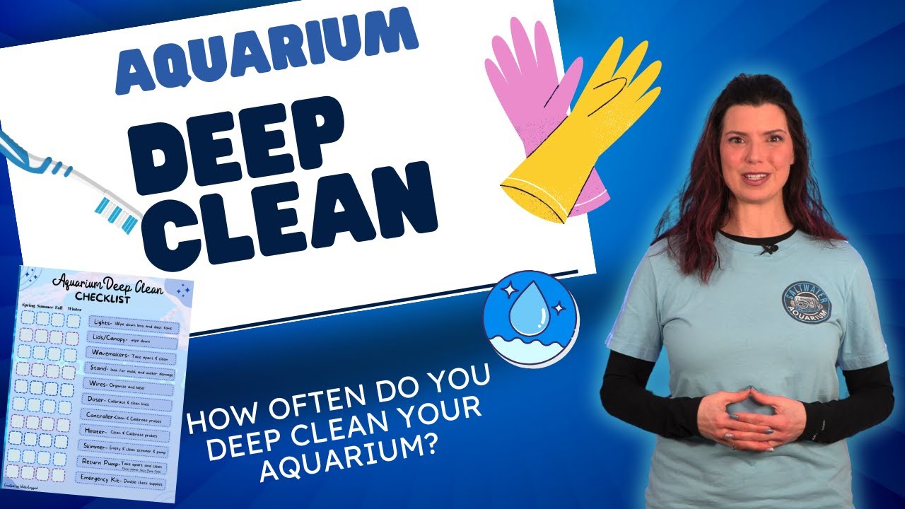 Deep Cleaning Your Aquarium - YouTube