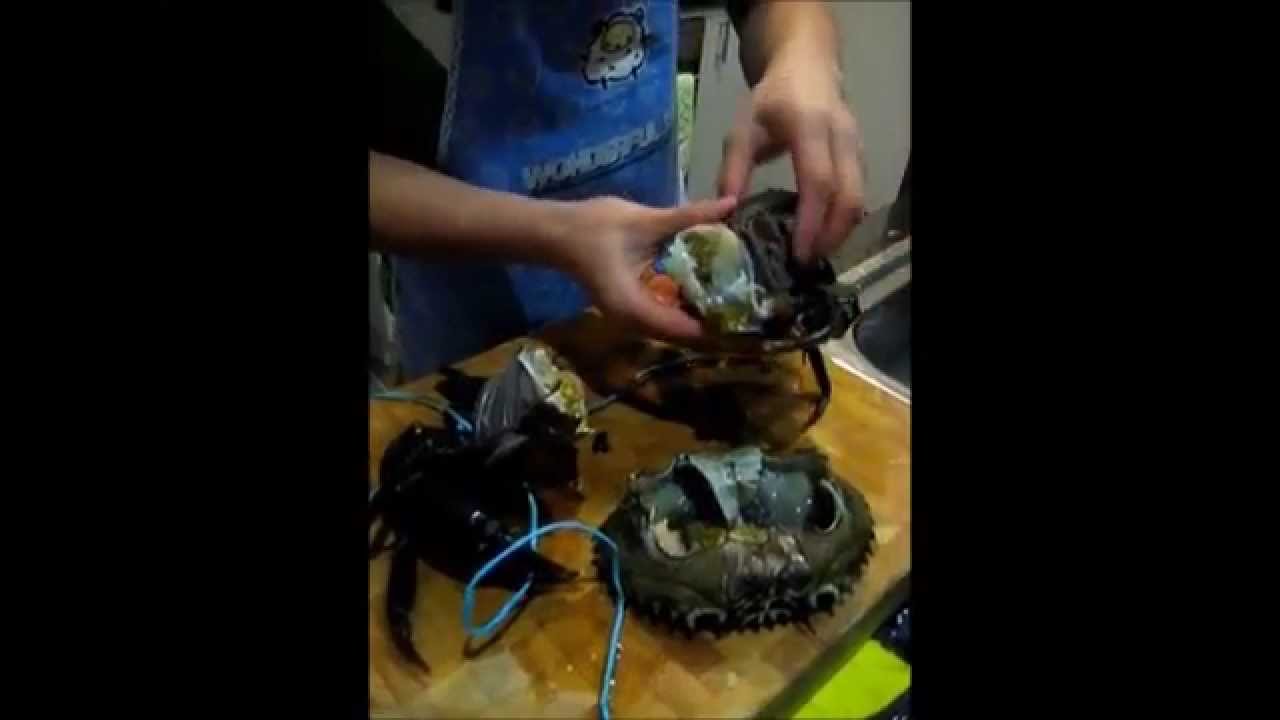 How to Kill a Crab like a pro - YouTube