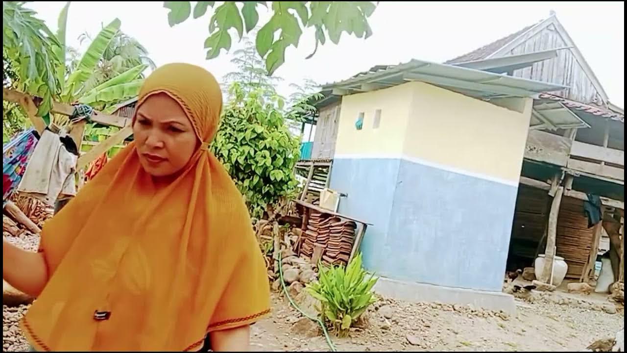 Menu masakan sederhana msak nasi, dan panen daun sirih dan bersih2 di atas rumah di desaku - YouTube