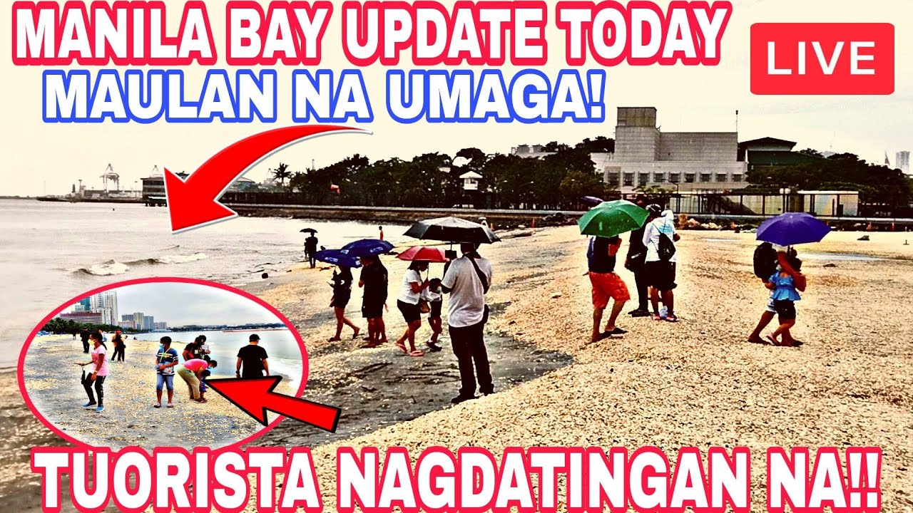 manila bay update today November 1,2022 - YouTube
