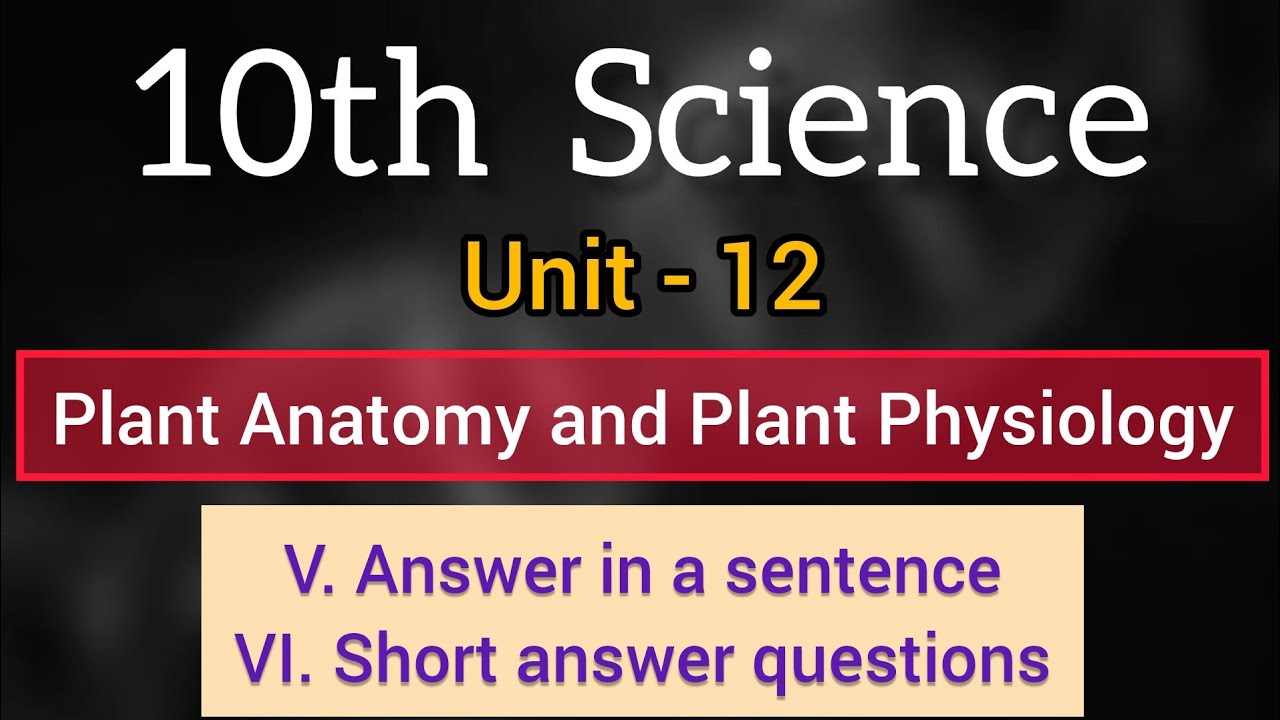10th Science unit 12 Plant Anatomy and Plant Physiology Short answer ...