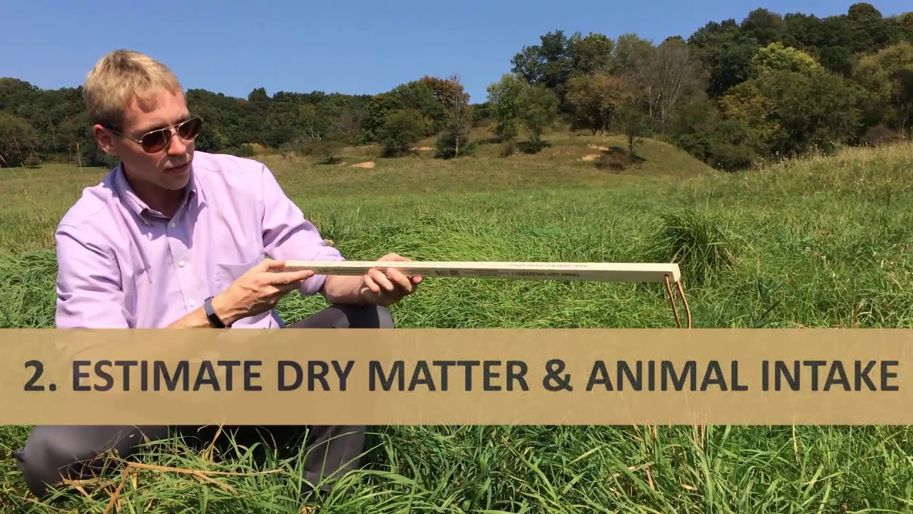 How to use a grazing stick (part 1 of 2) - YouTube