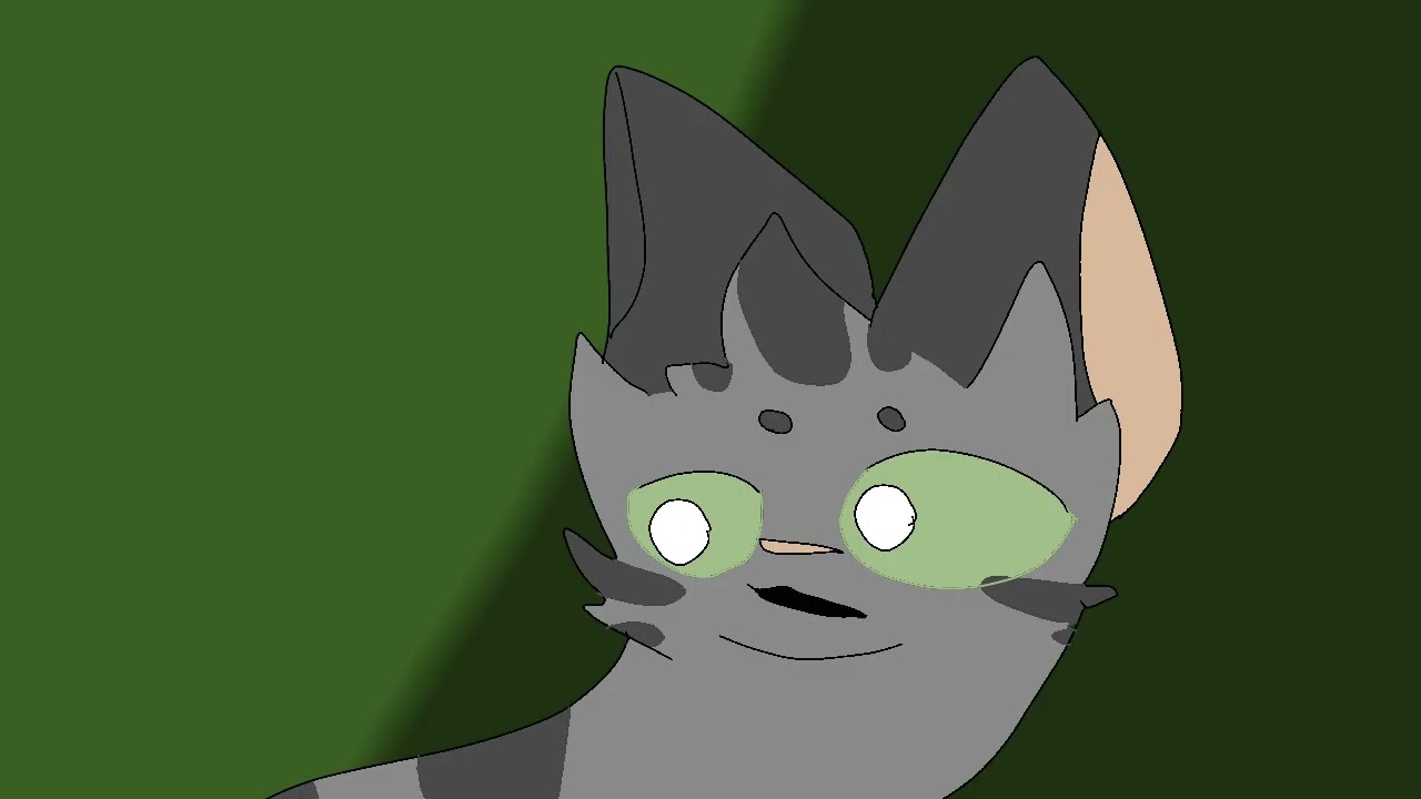 YOUR BLIND??? 😳😳😳😳😳😳 — Longtail and Cherrykit - YouTube