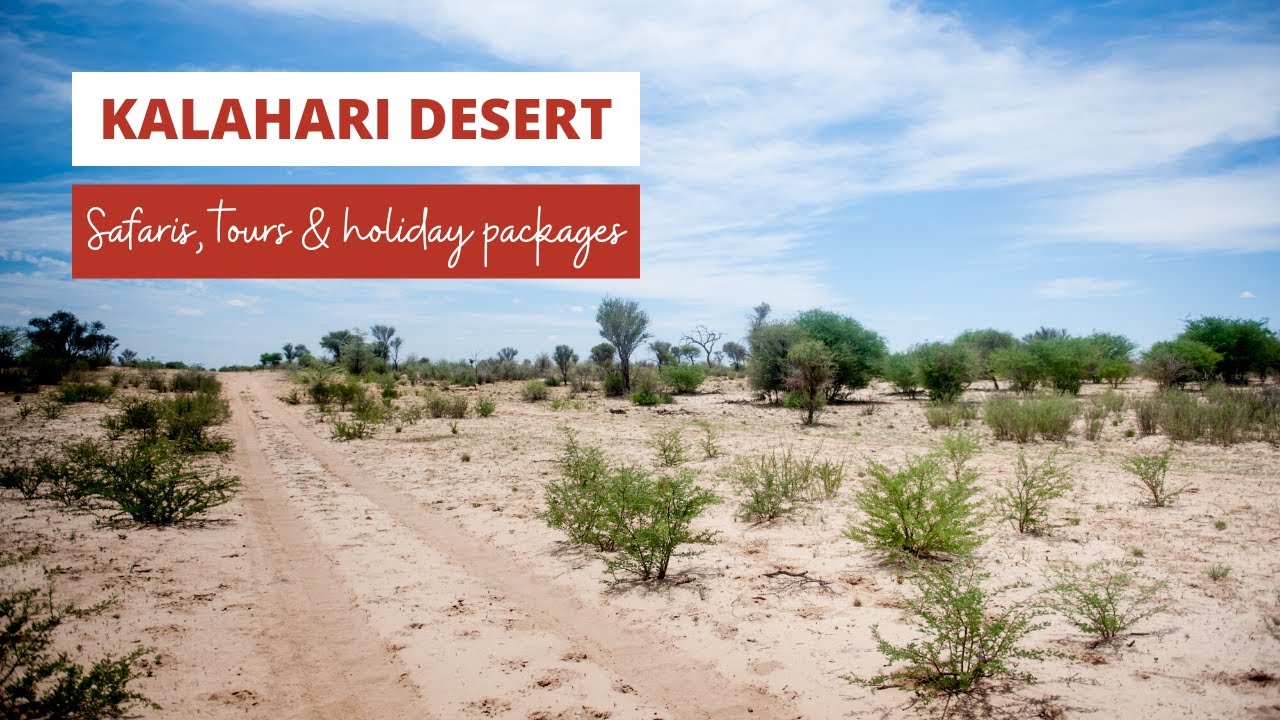Kalahari Desert safaris, tours & holiday packages - YouTube