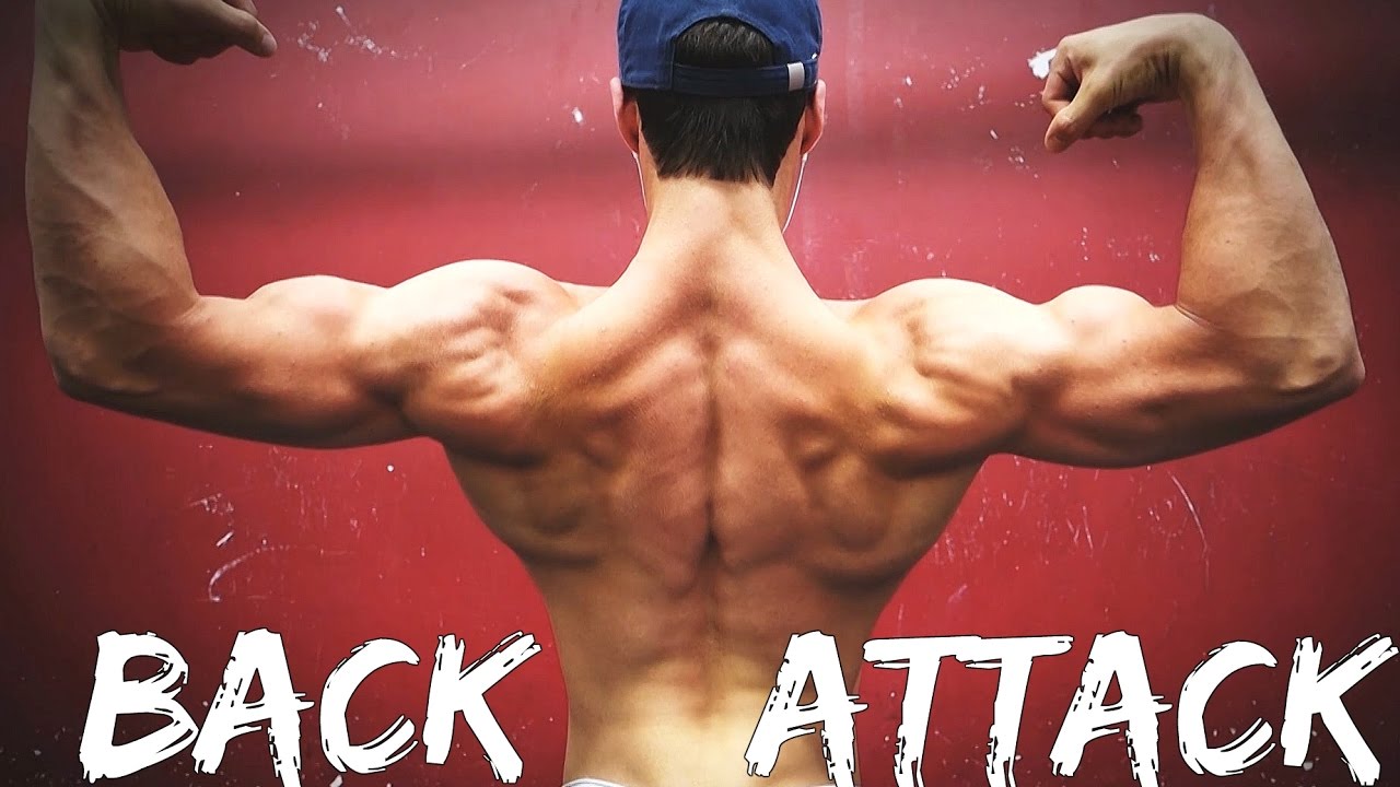 Full day of eating - macros - back workout - Fraser Wilson