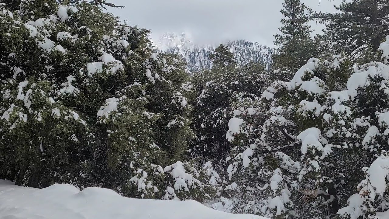 Walking tour of snow covered Crystal Lake Recreation Area in the San ...