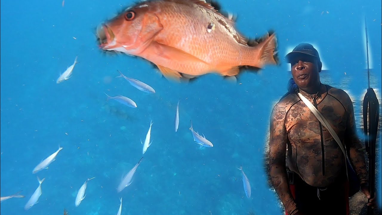 This happen on a short evening dive. last dive for 2022. - YouTube