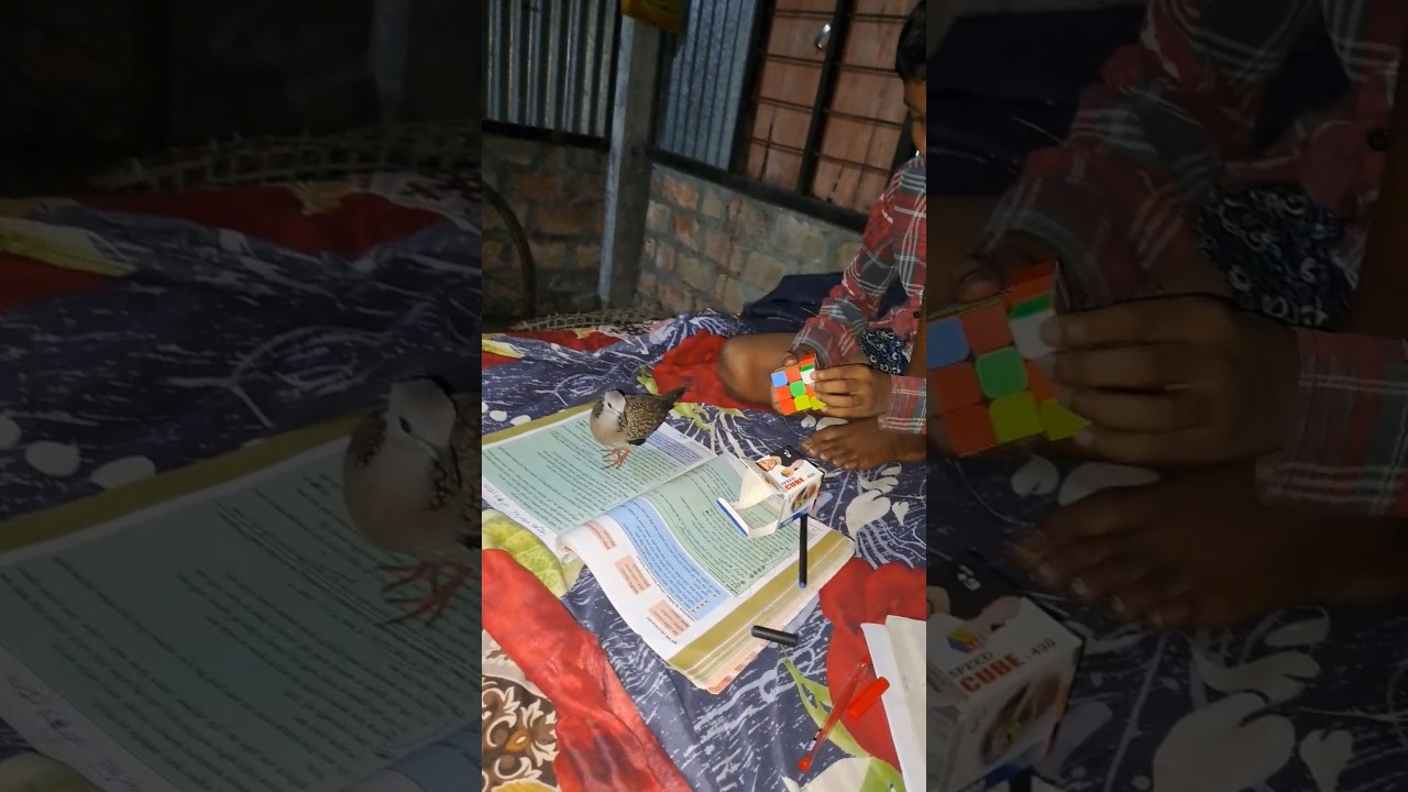 ghughu | #ghughu #viral #trending #status #shorts #jahanur ...