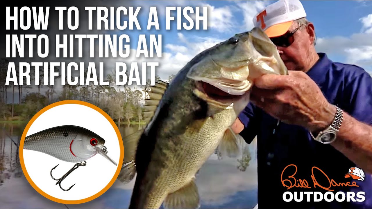 How to Trick a Fish into Hitting an Artificial Bait | Bill Dance ...