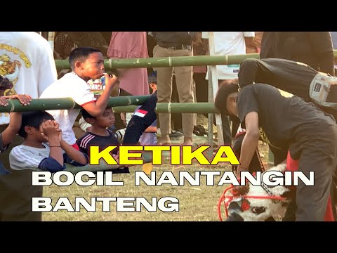 Putri Joyo  gumelar live sbr prekol