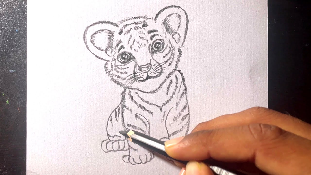 How To Draw Tiger || Colourful Drawing Clips || Easy step by step ...