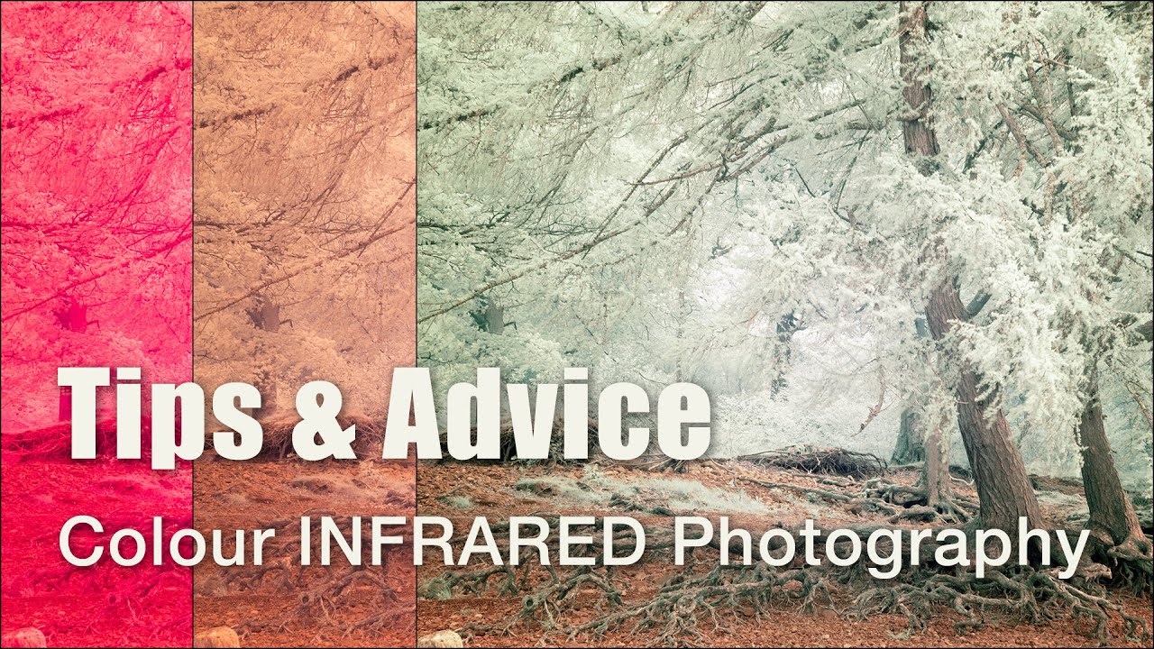 Colour Infrared Photography to Wow Your Audience! - YouTube