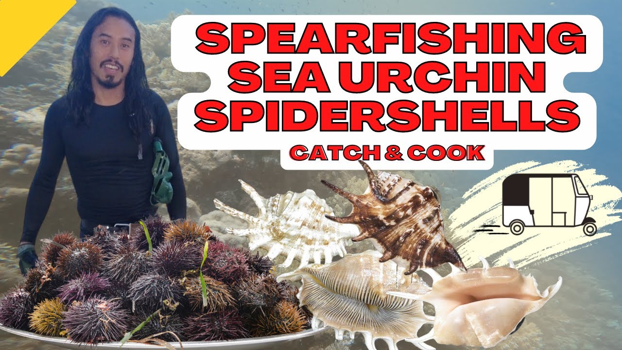 Spearfishing - Catch and Cook in Panglao, Bohol Philippines - YouTube