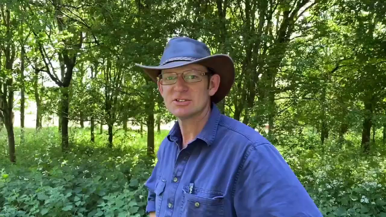 From the farm 9: Regenerative Agriculture - YouTube