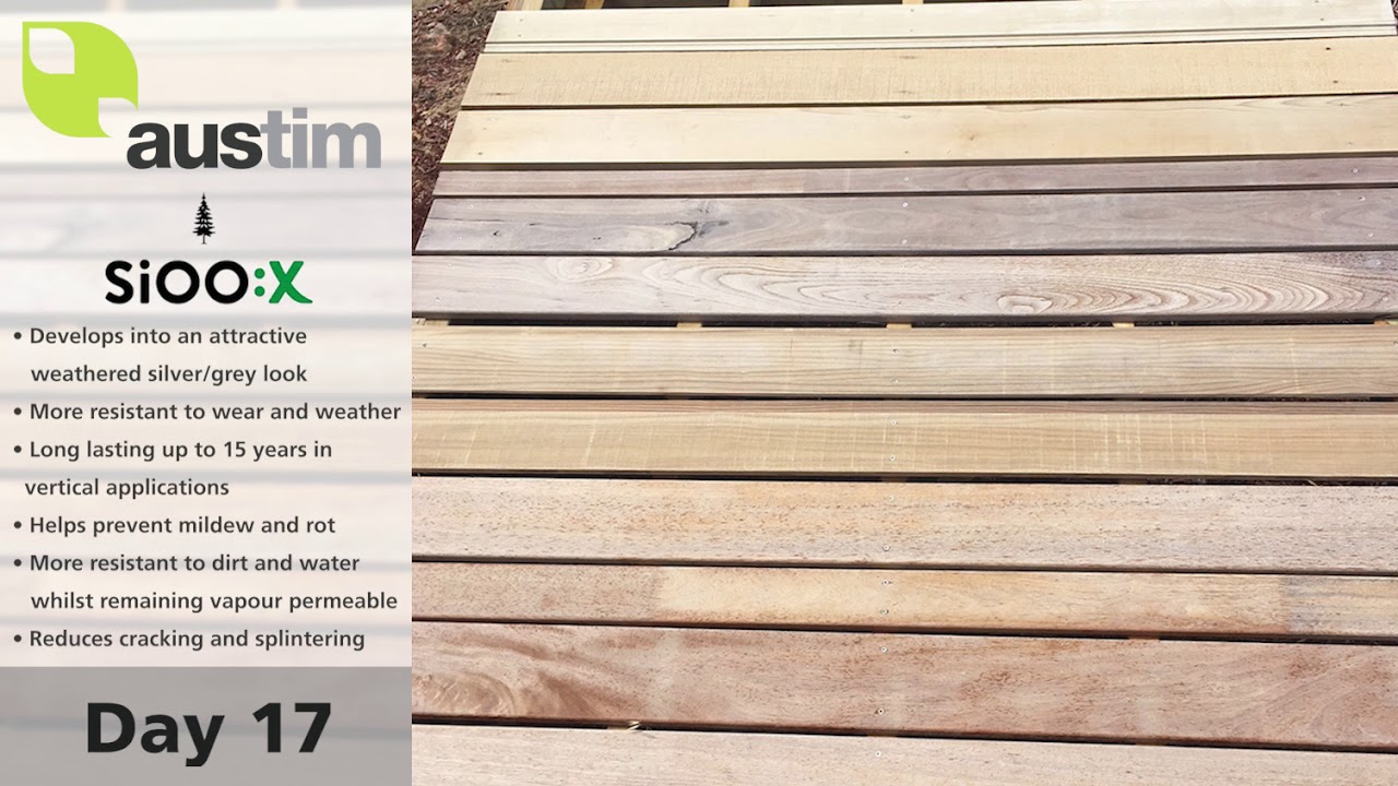 SiOO:X Timber Protection - YouTube
