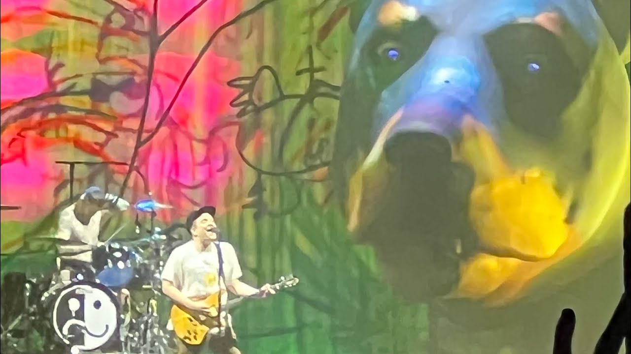 Disloyal Order Of Water Buffaloes - Fall Out Boy Live (6.21.23 Chicago ...