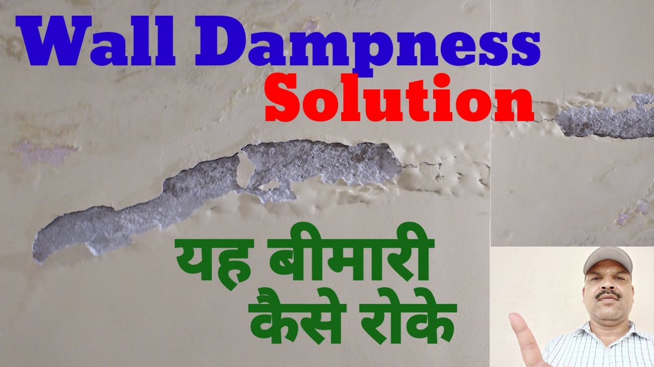 Wall Dampness Treatment | दीवाल की पापड़ी को कैसे ठीक करें | plumbing tip's and tricks - YouTube