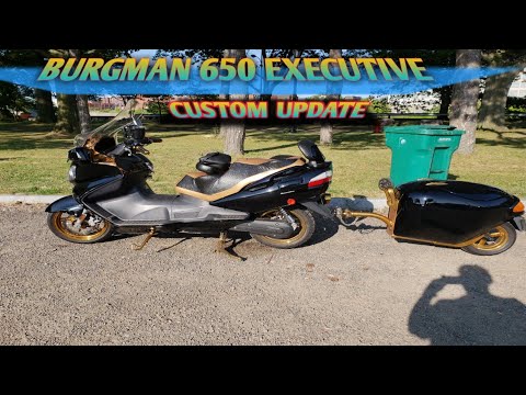 BURGMAN 650 EXECUTIVE CUSTOM HYDRODIP DASH - YouTube