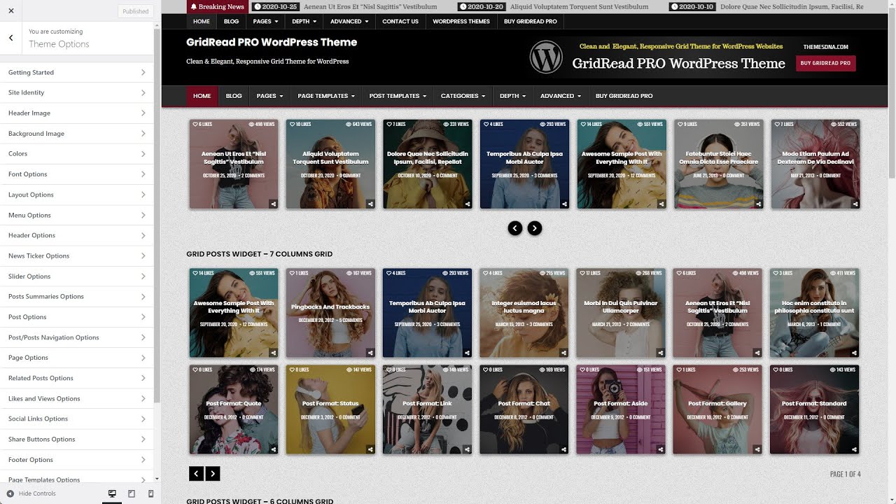 Customizer Theme Options - GridRead PRO WordPress Theme - YouTube
