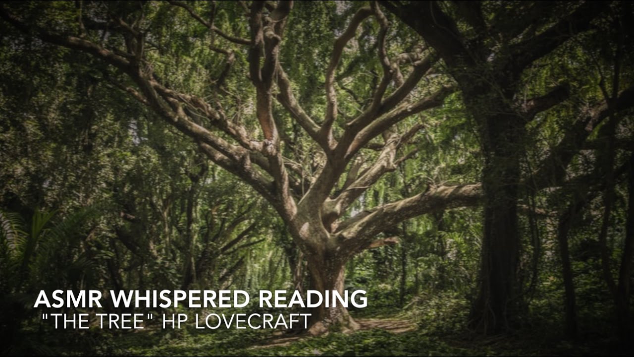 Reading You Lovecraft's "The Tree" // Semi-Unintelligible // Whispering ...