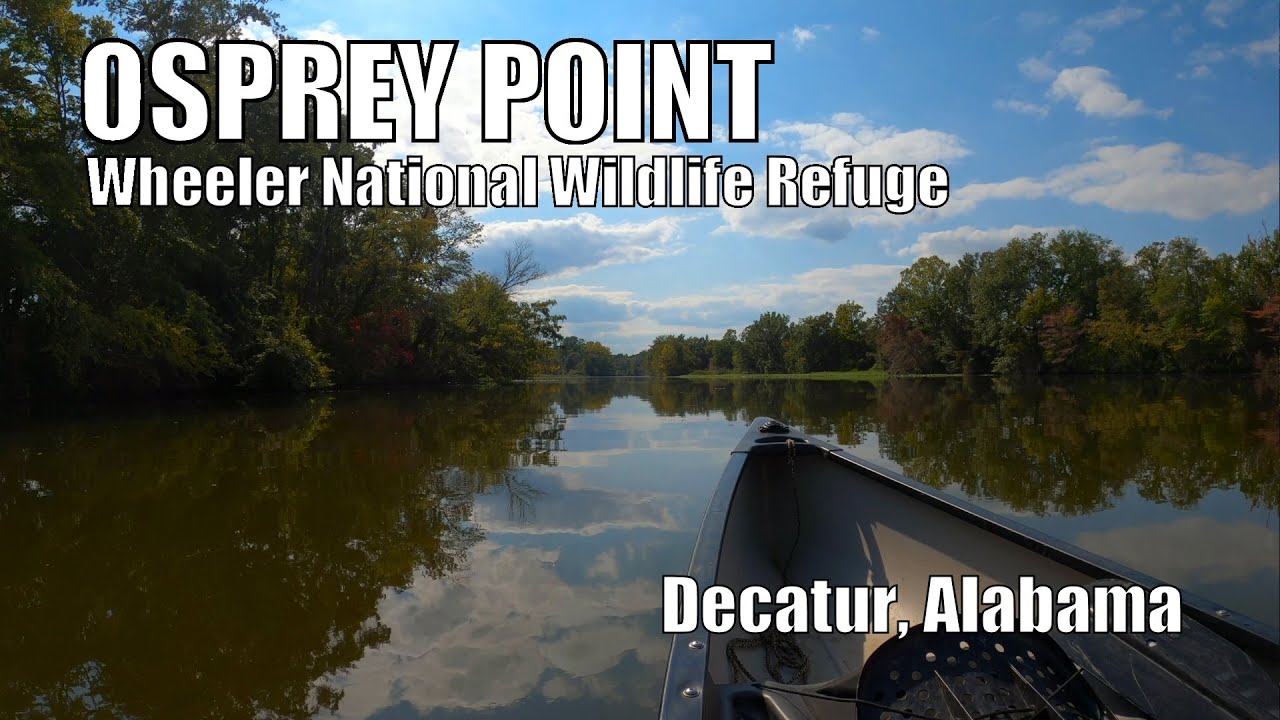 Osprey Point - Wheeler National Wildlife Refuge - YouTube