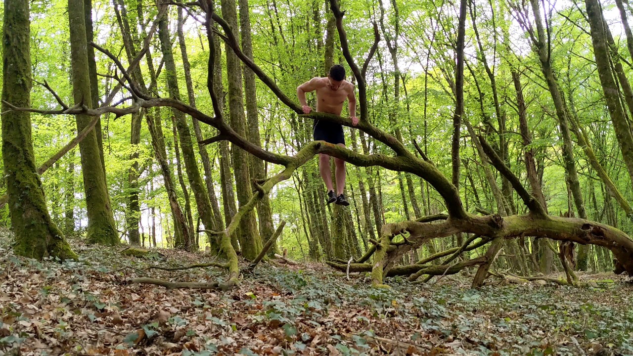 RANDO FIT - FULL BODY séance complète de musculation en nature 🦍 ...