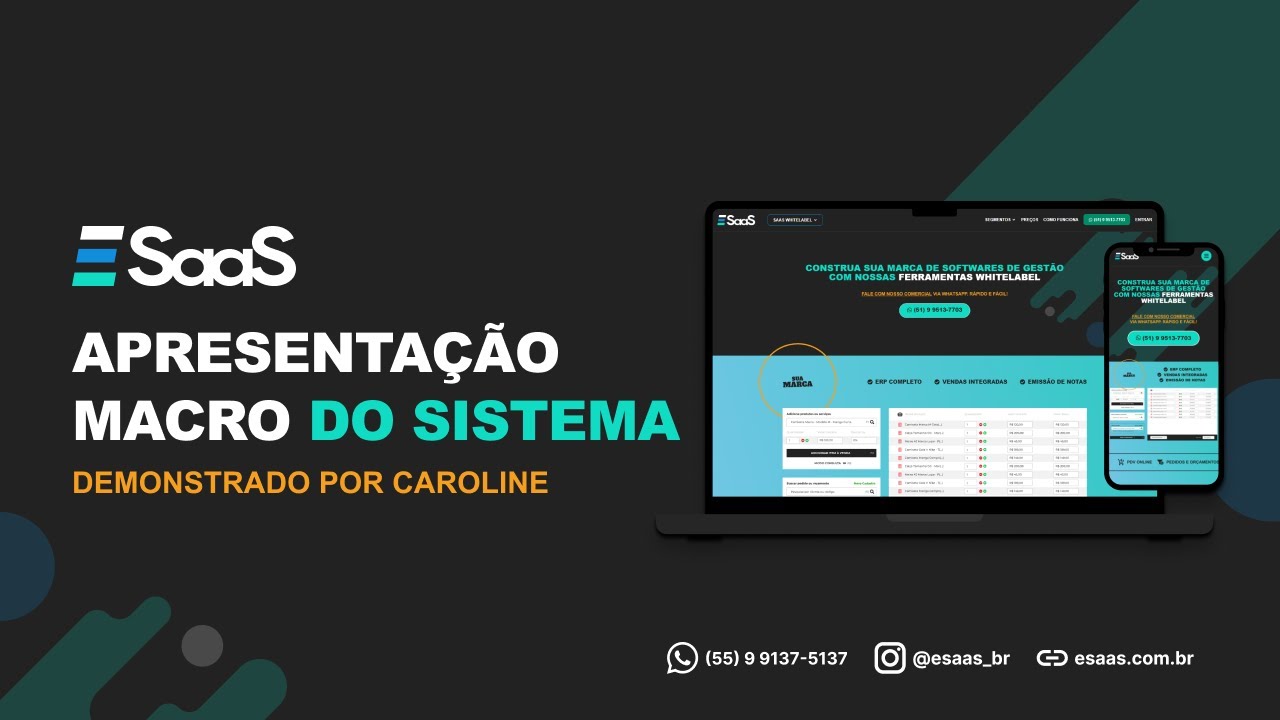 Apresentação Macro do Sistema ESAAS - Caroline - YouTube