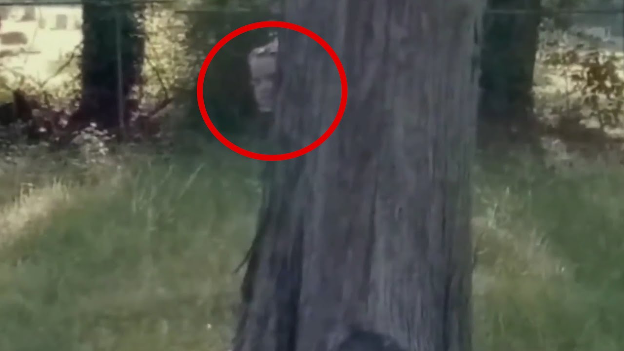 Horrifying Clips That Will Leave You Gasping - YouTube