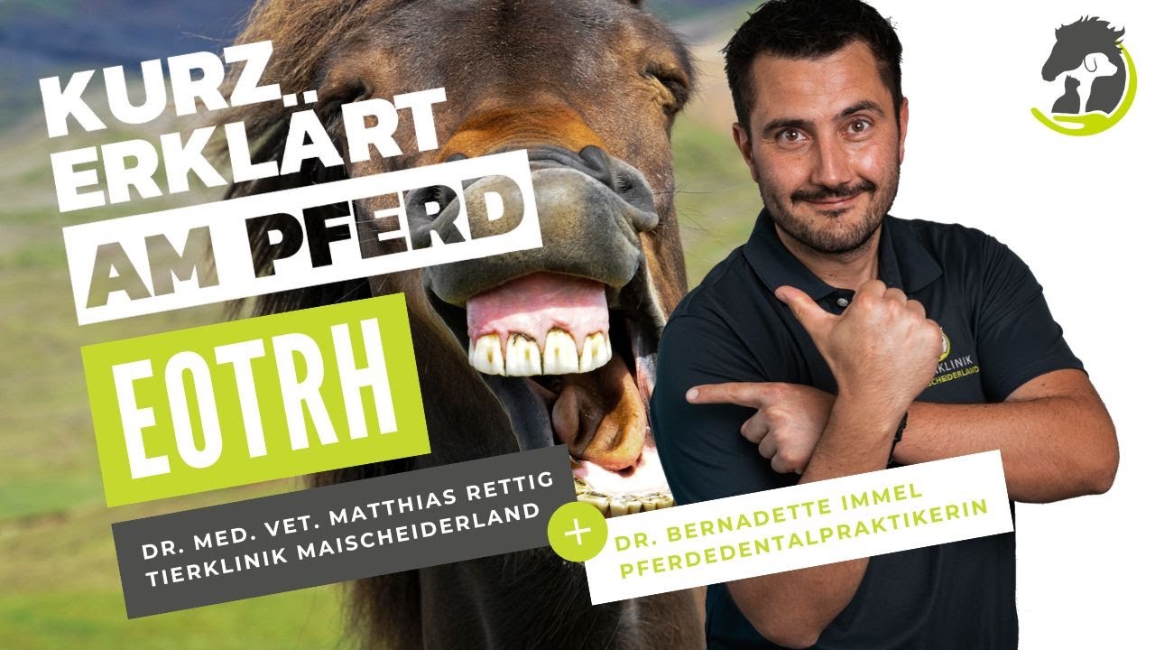 EOTRH - Zahnerkrankung beim Pferd. Erklärung, Diagnose und Behandlung ...