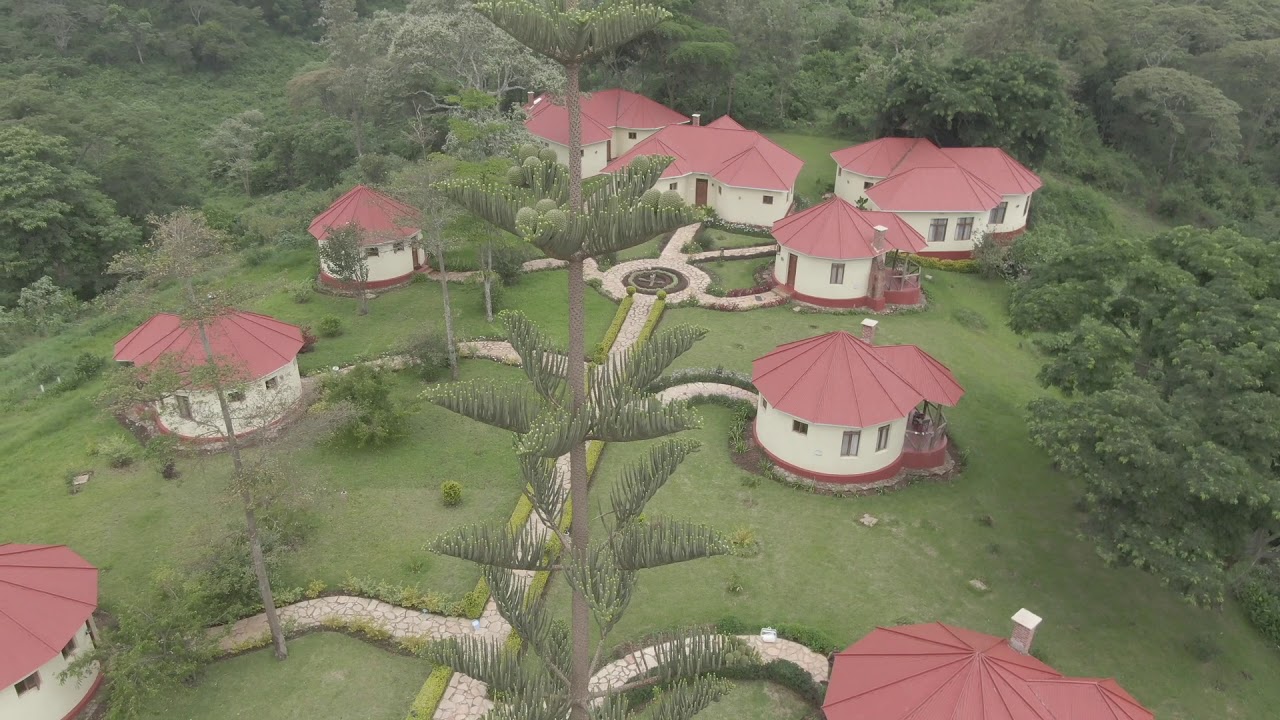 Tanzania Specialist video from Hhando Coffee lodge - YouTube