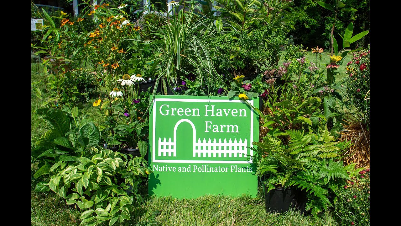 Green Haven Farm Fall 202 - YouTube
