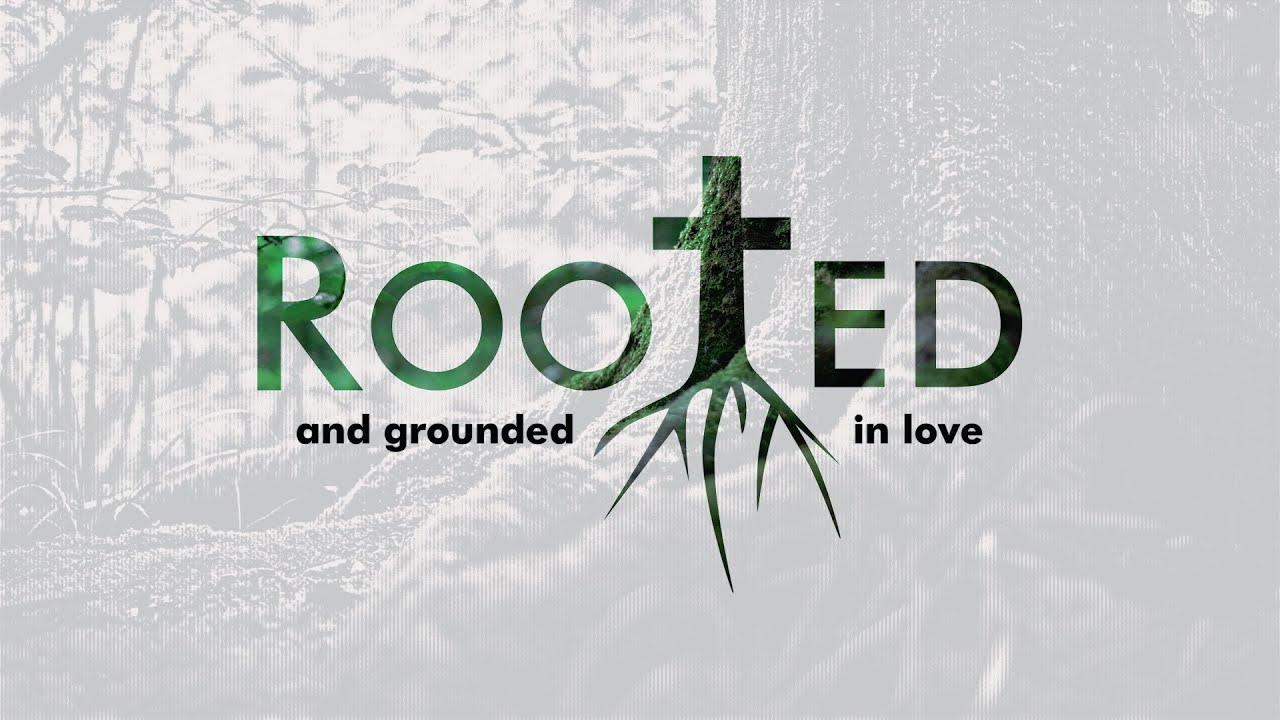 MSBC Worship Service | Let’s Get Rooted! - YouTube
