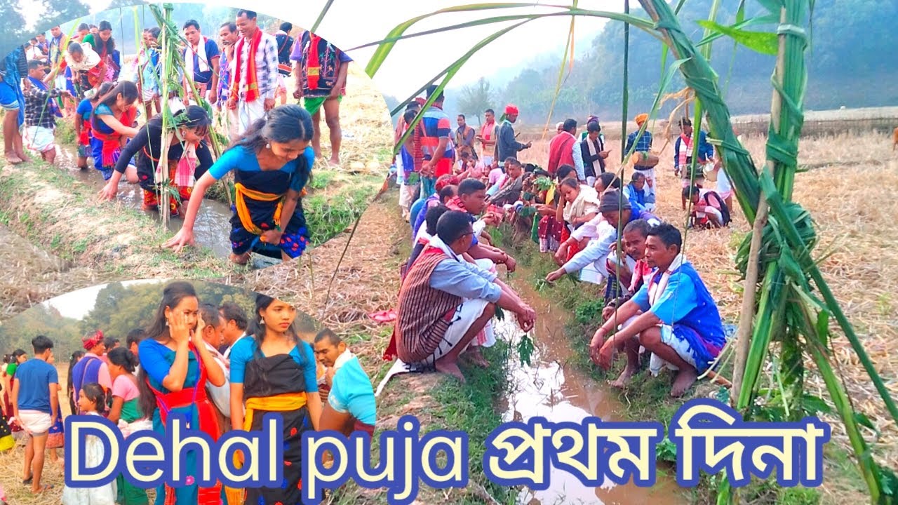 Dehal puja ৰ আজি প্ৰথম দিনা।।কাচিদম নিয়ম।।karbi dehal puja ।। - YouTube